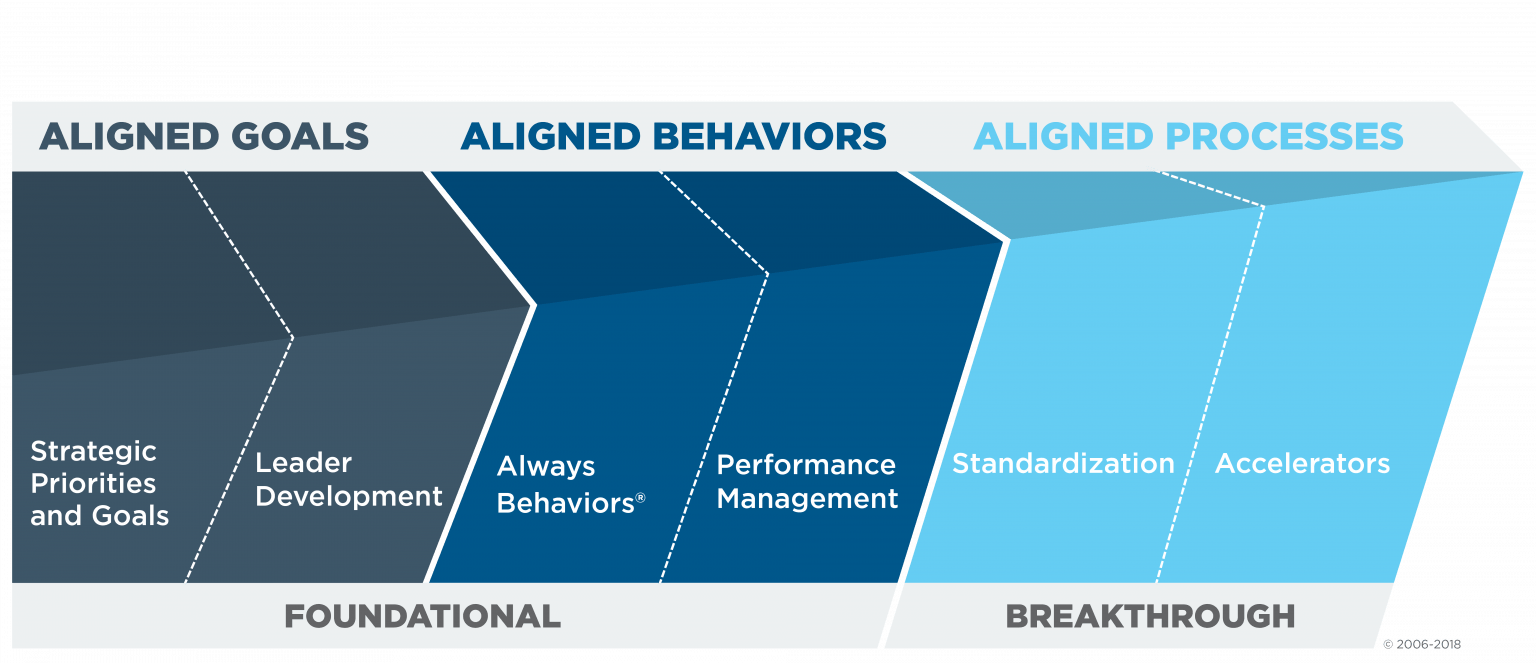 Organizational Excellence – 9P Online